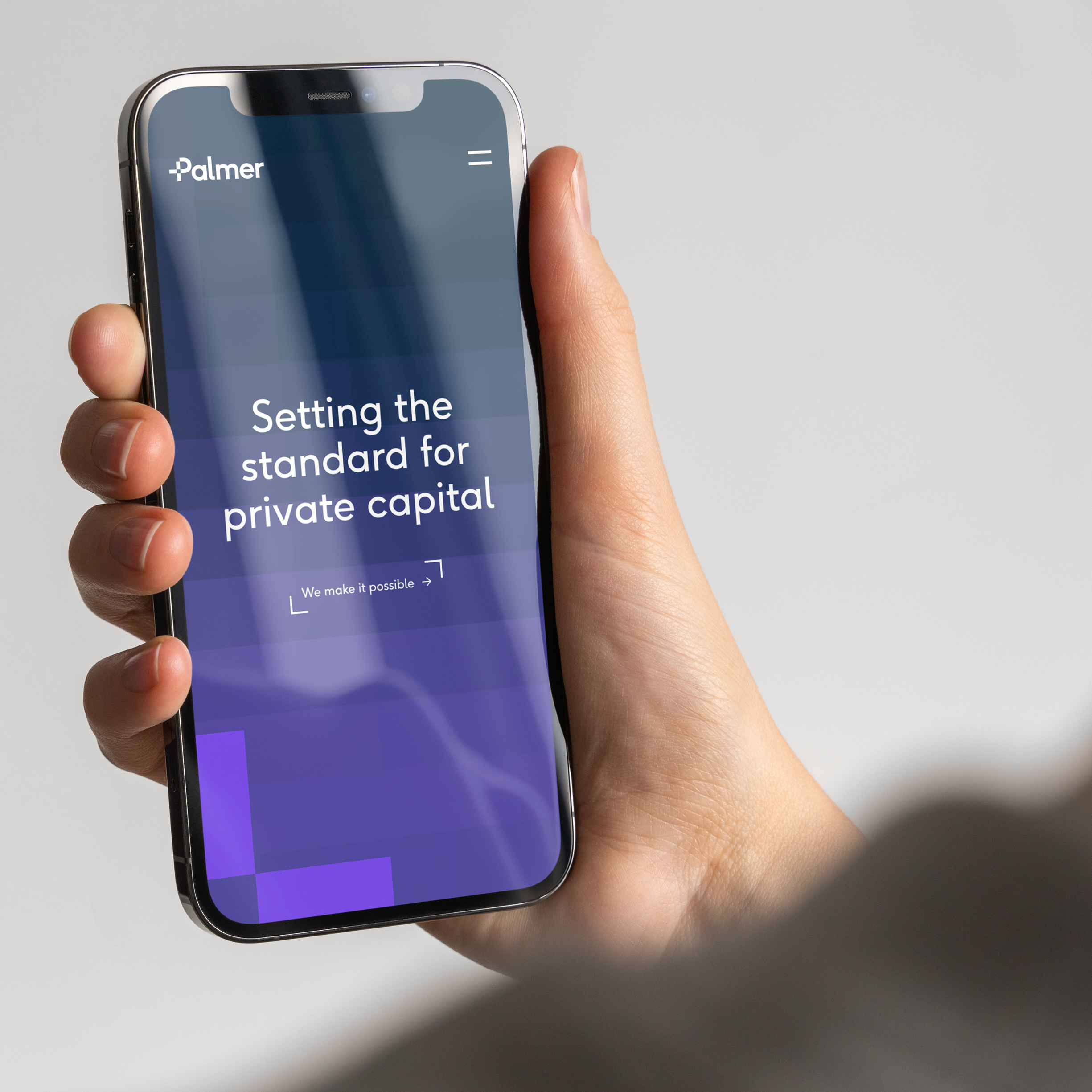 Home [www.palmerfs.com]